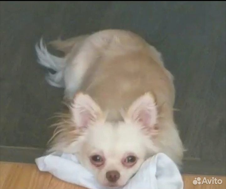 Скучаю, жду невесту)