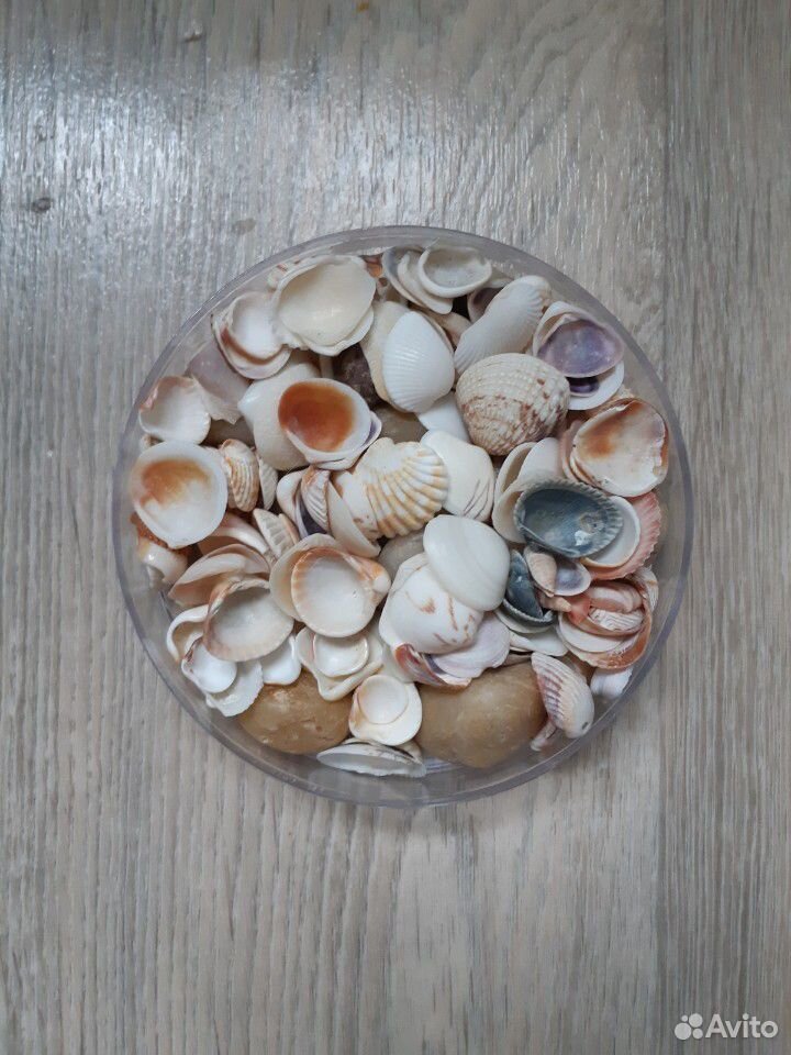 Набор ракушек и камушек
