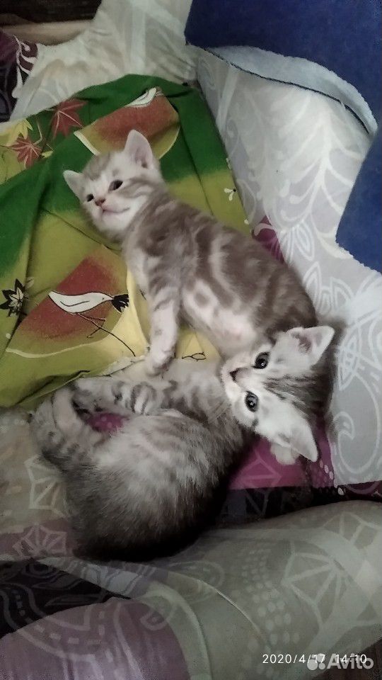 Милые мальчишки, 1 месяц