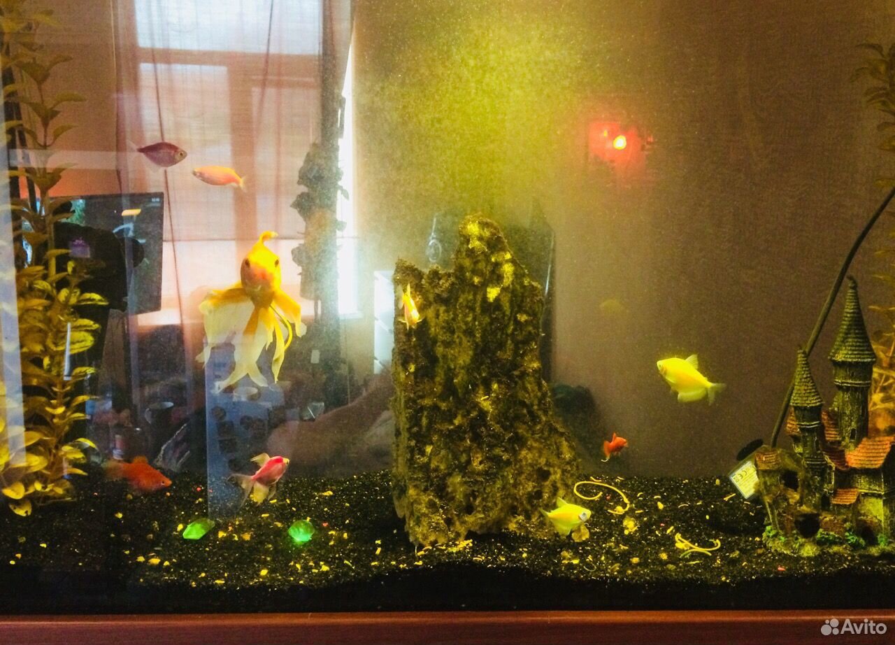 Чистка Аквариумов