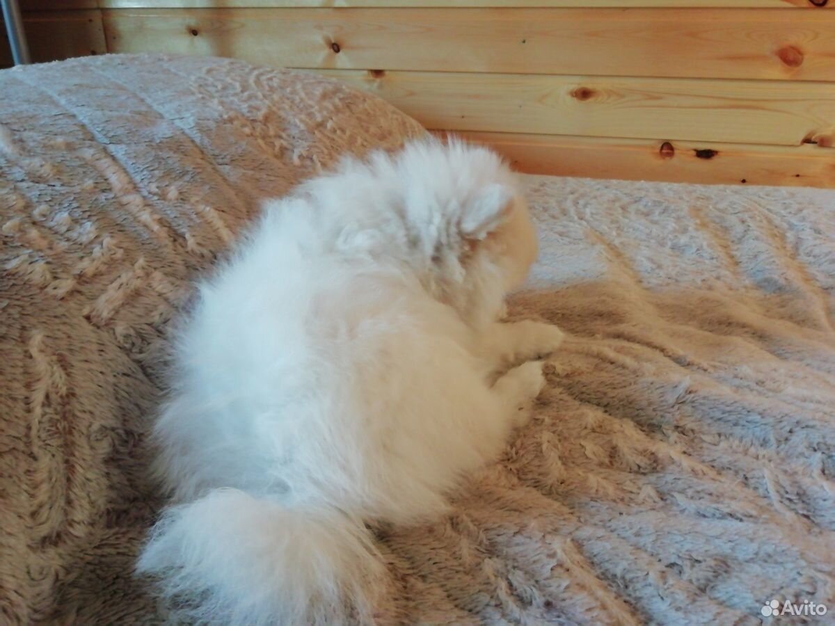 Мальчики С хорошим торгом