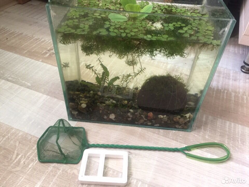 Аквариум с грунтом,растениями,сачком,кормушкой
