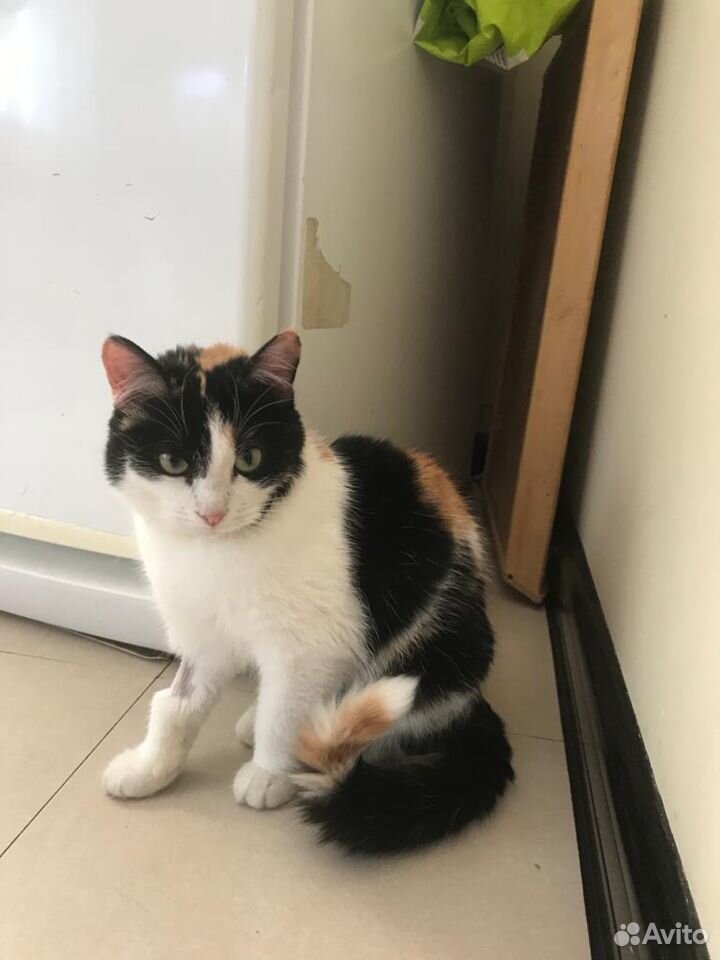 Маришка