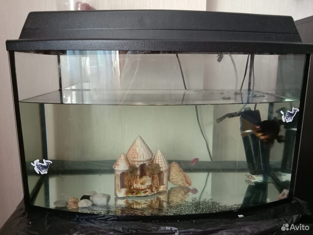 Аквариум 80 л