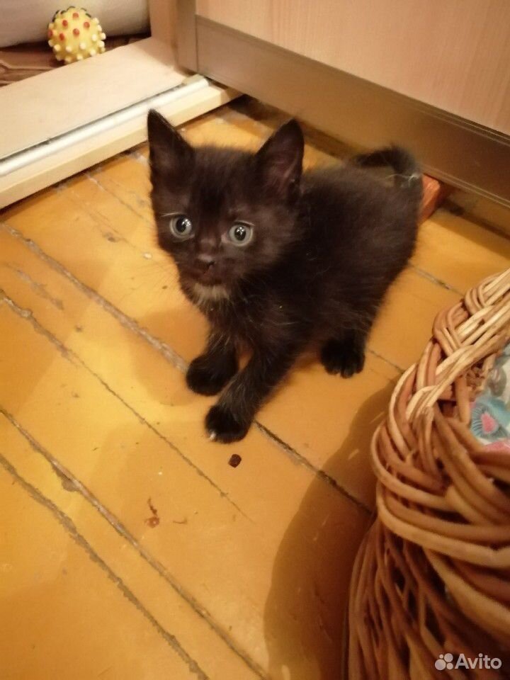 Очень нужны добрые ручки