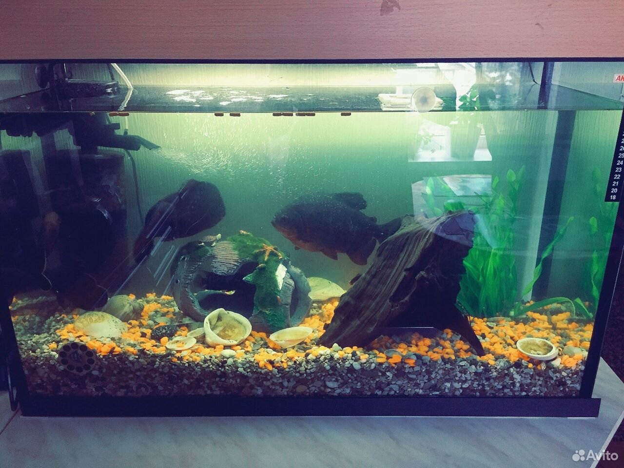Аквариум 120 л