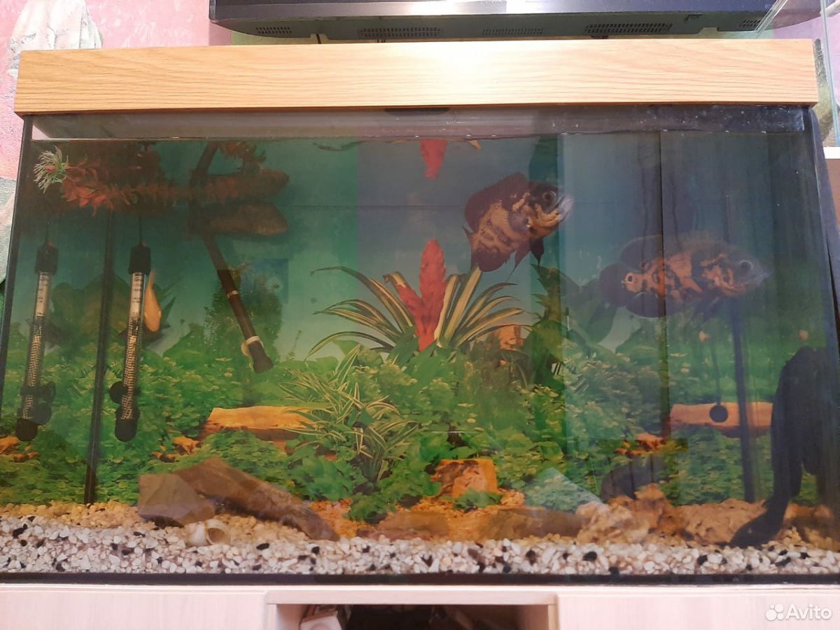 Аквариум 210л