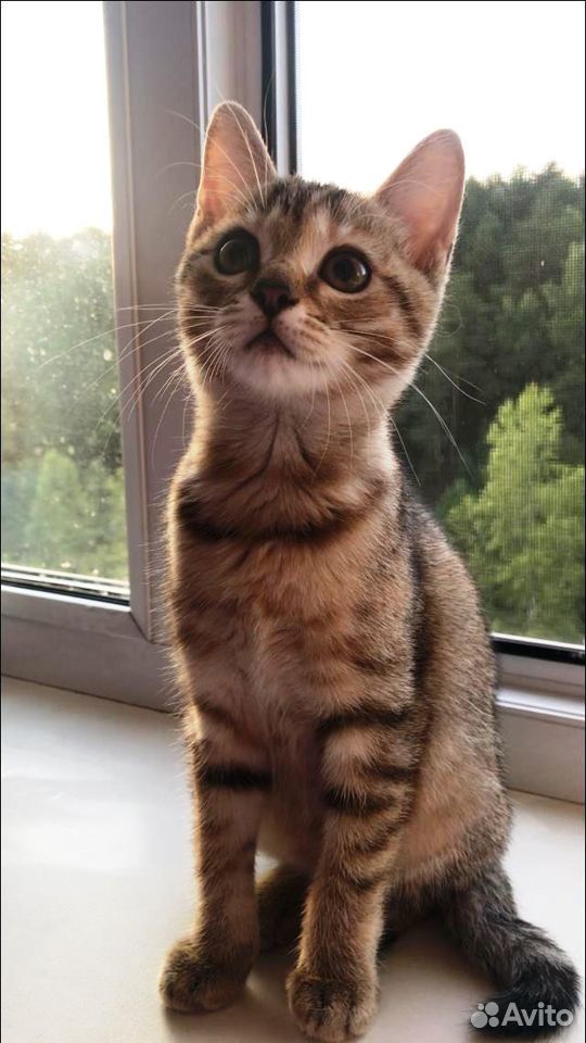 Милана 3 месяца