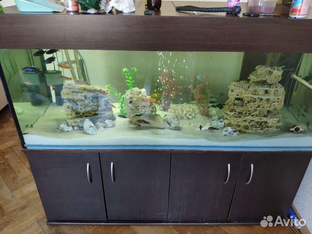 Аквариум 500л