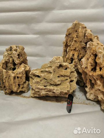 Песчаник меотис