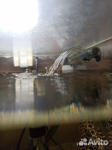 Аквариум в комплекте