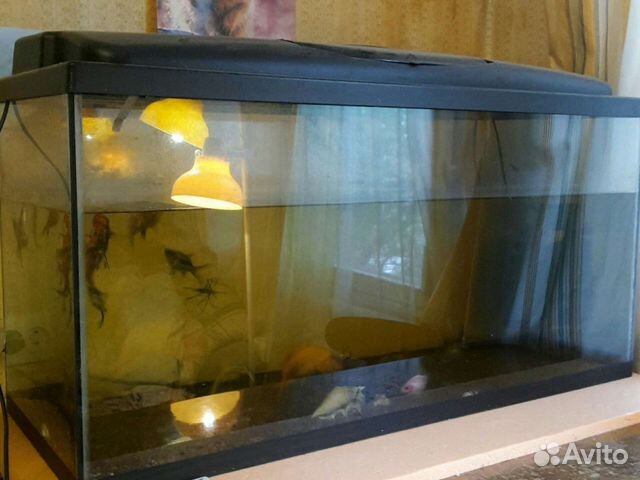Аквариум