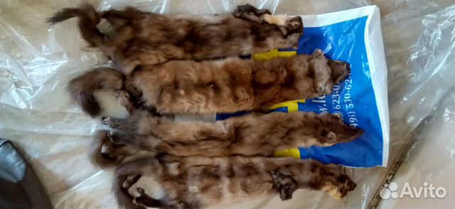 Шкурки куницы