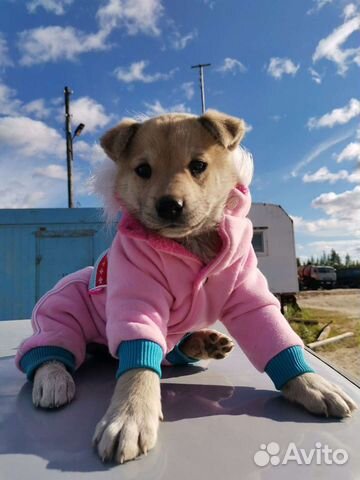 Малышка Марли, 1 месяц