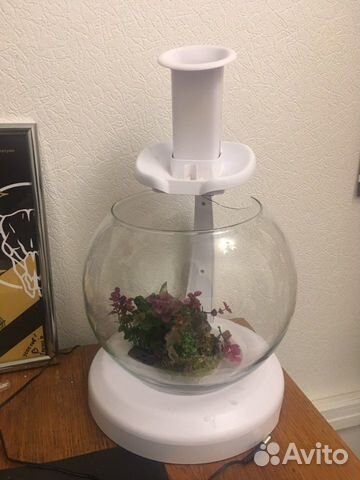 Аквариум тетра круглый для петушка