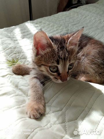 Подарите ребенку счастье