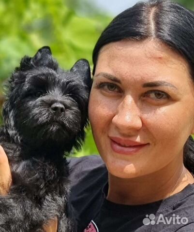 Черный йорк мальчик