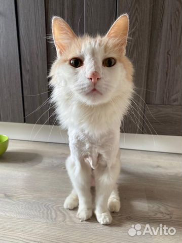 Жертва алкоголиков