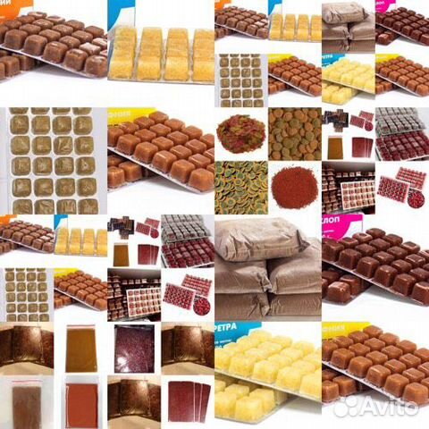 Замороженные И сухие корма