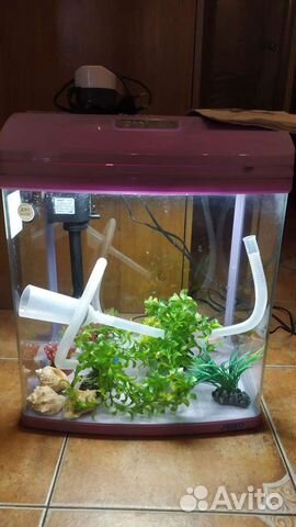 Аквариум