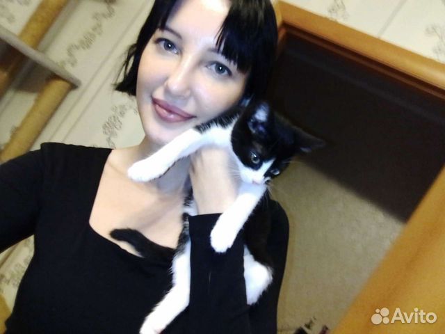 Котенок Тиша ищет дом