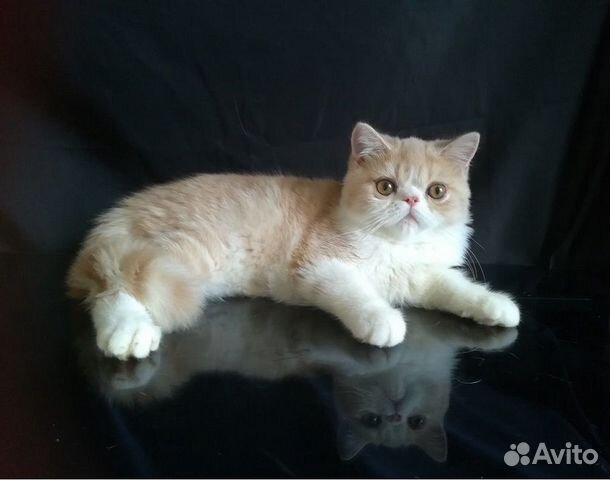 Ласковое солнышко