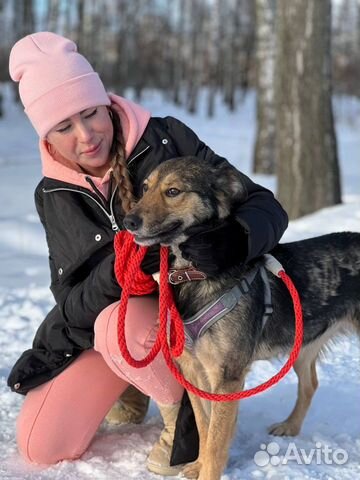 Собака Ева. Можно в квартиру