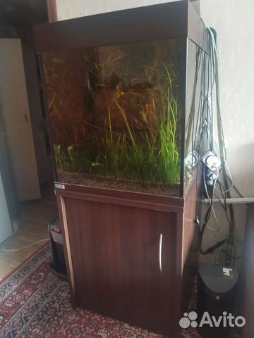 Аквариум Eheim с внешним фильтром 2073