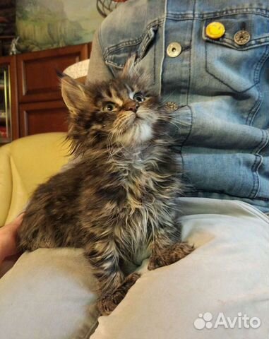 Девочка полидакт