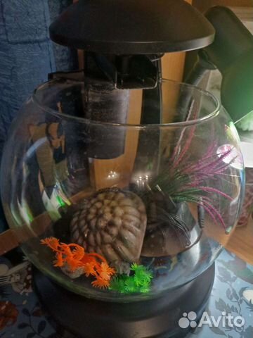 Аквариум Тетра Каскад 6.8л