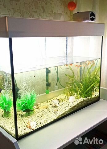 Аквариум