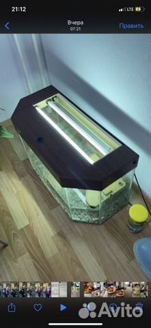 Отдам двух черепах