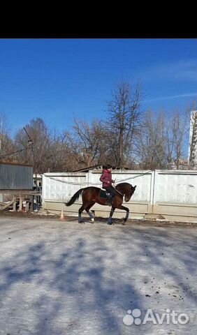 Американский рысак