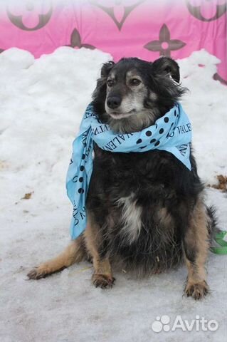 Алиса всю жизнь ждёт свою семью