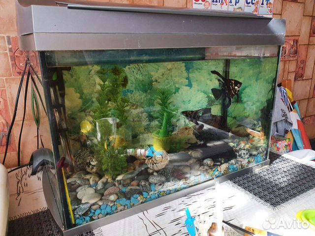 Аквариум Tetra 60 литров