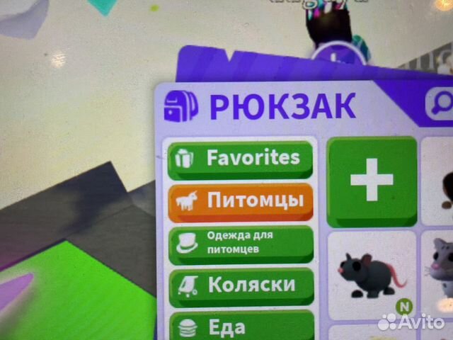 Петы из адопт ми