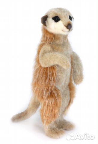 Сурикат, 33 см. Ханса