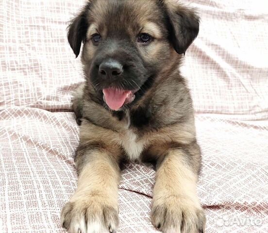 Возьми меня домой