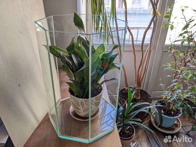 Аквариум/Флорариум