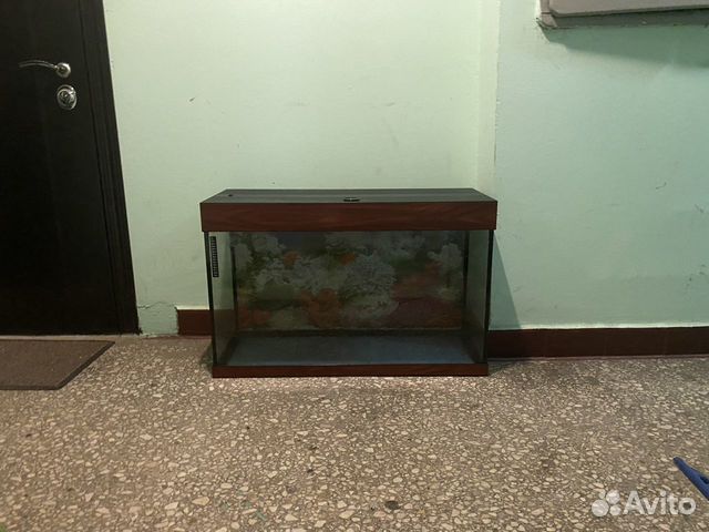Аквариум