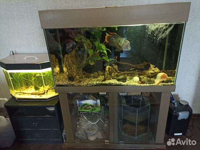 Аквариум