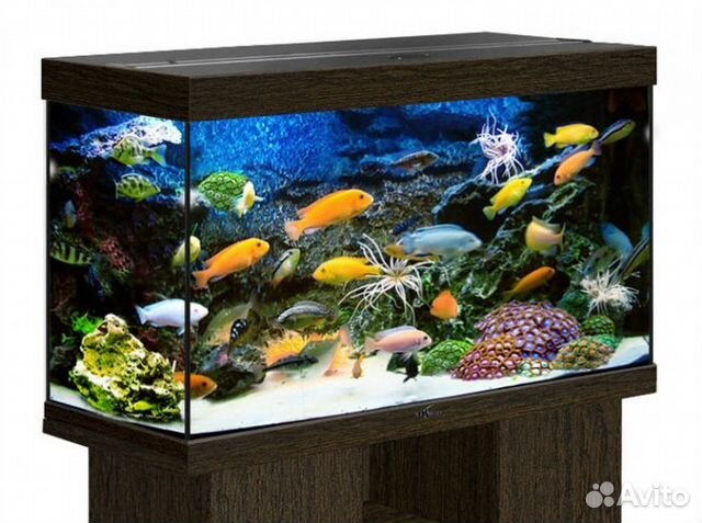 Аквариум 150л."Biodesign".(новый)
