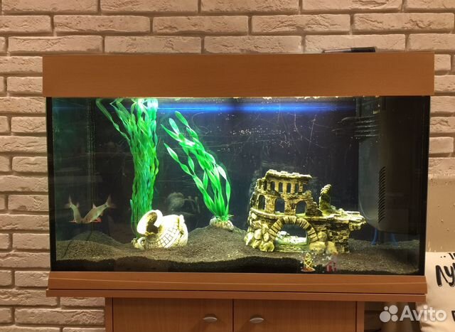 Аквариум с тумбой Ferplast Dubai 80, 125 л, бук