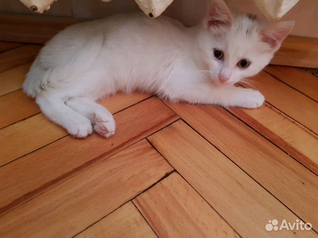 Маленькая девочка ищет себе хорошую семью