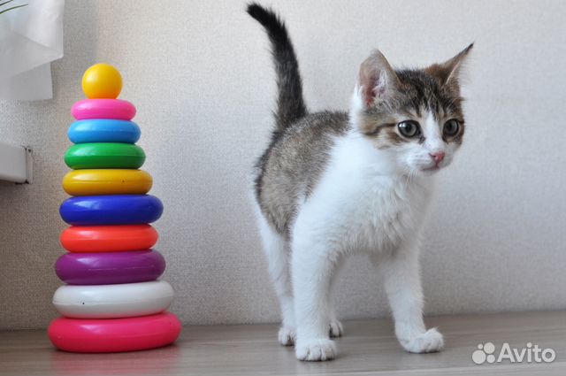 Идеальный друг для ребенка