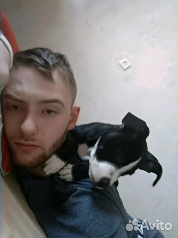 Стафф