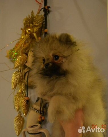 Девочка подросток