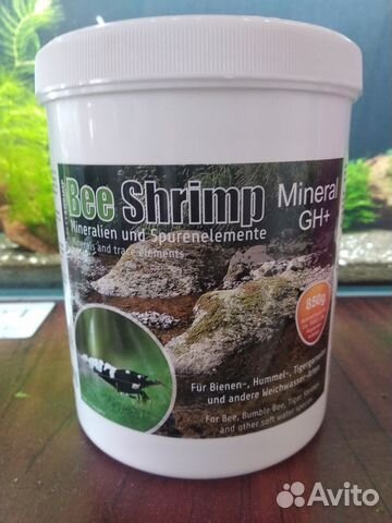 SaltyShrimp, PRL, Сулавеси и др