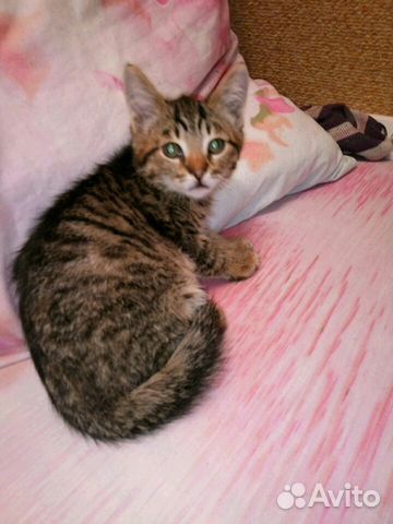 Малыш ждет маму