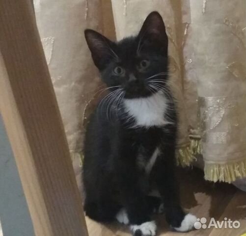 Марфа ищет дом